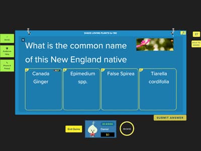 Classroom Jeopardy Review Game | Buzzer Mode | Factile